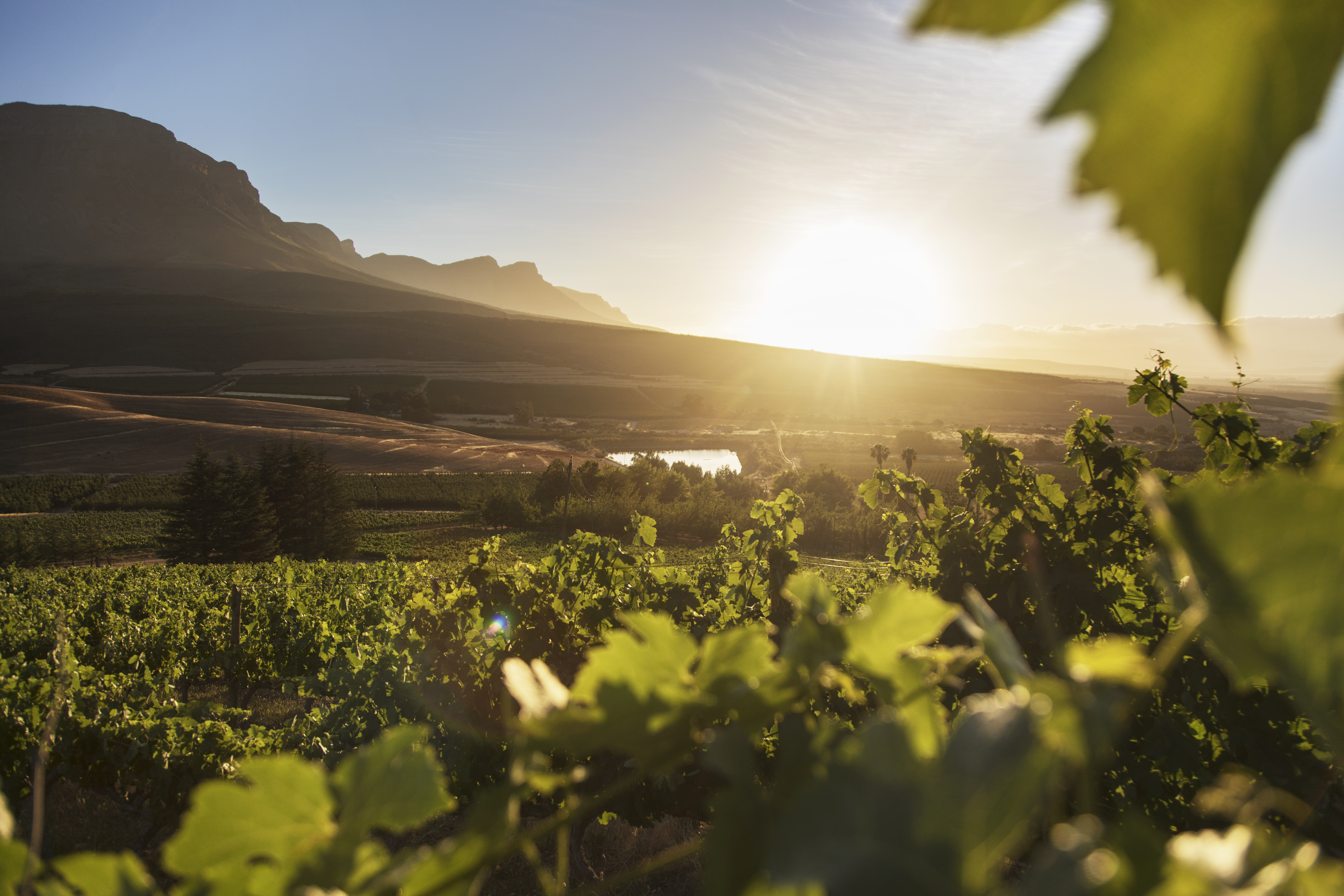 The Ceres Valley | Ceres Fruit Juices